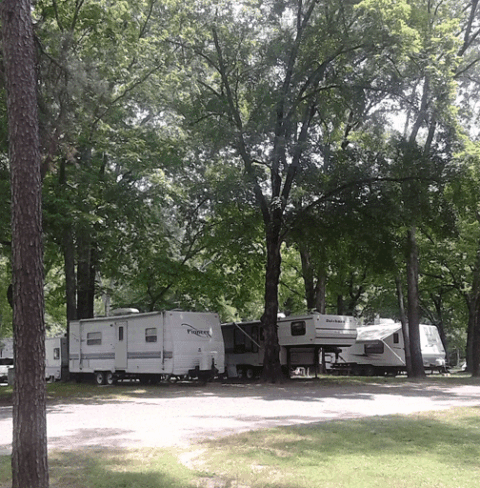 AMENITIES – Beaver Springs Campground